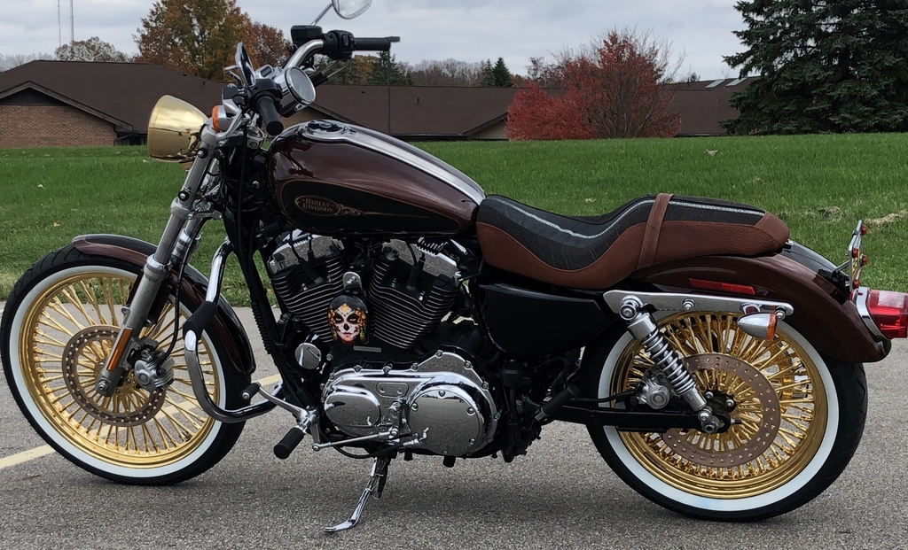 DNA SPECIALTY GALLERY