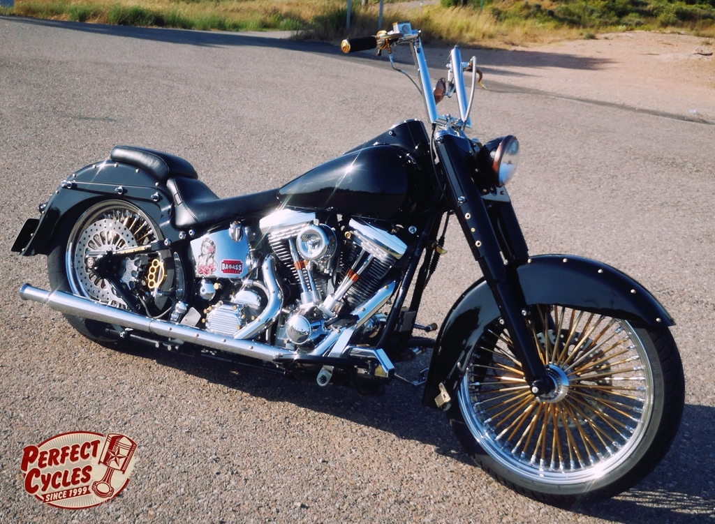 DNA SPECIALTY GALLERY