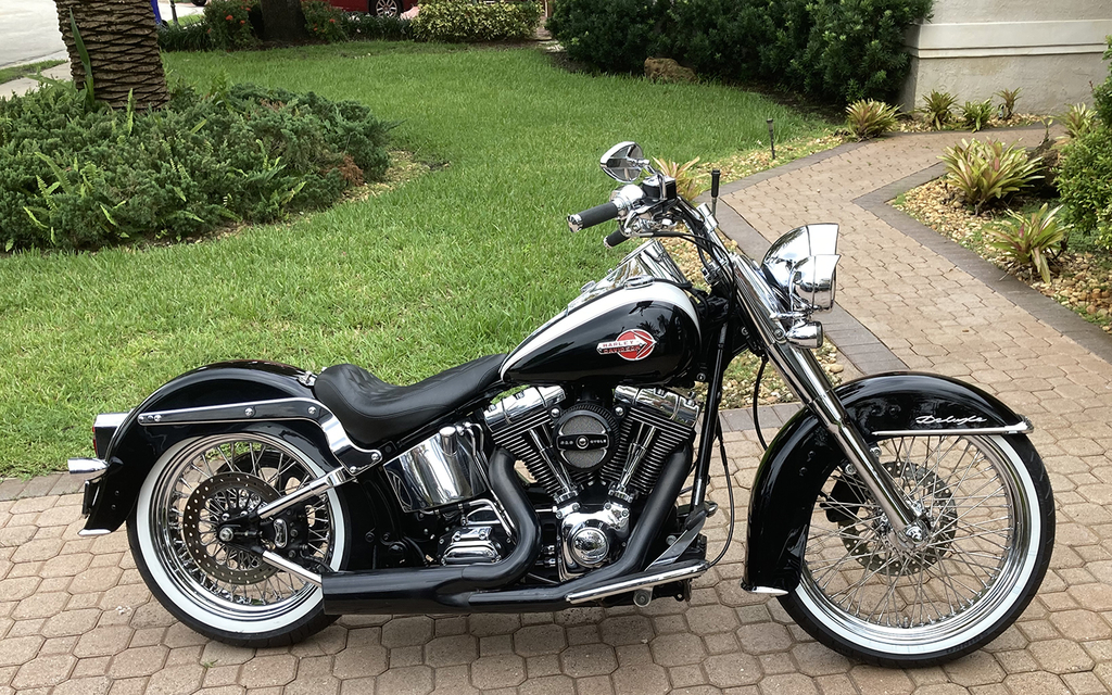 DNA SPECIALTY GALLERY