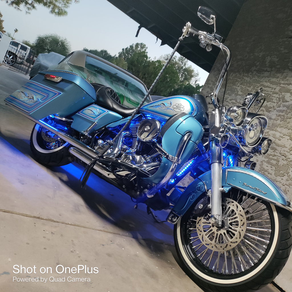 DNA SPECIALTY GALLERY