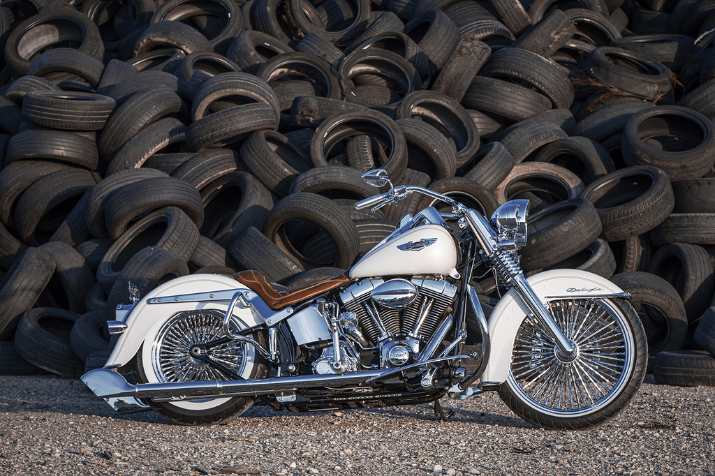 DNA SPECIALTY GALLERY