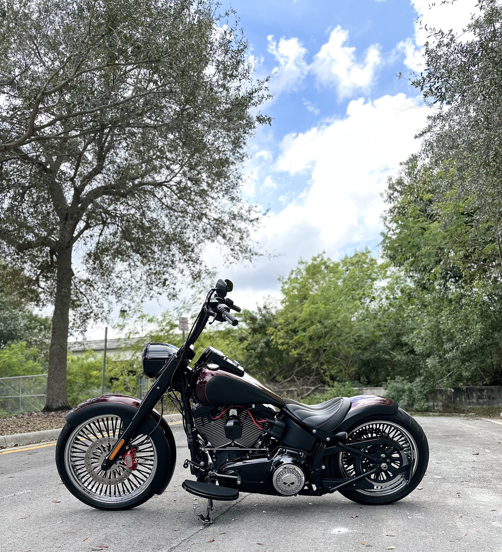 DNA SPECIALTY GALLERY