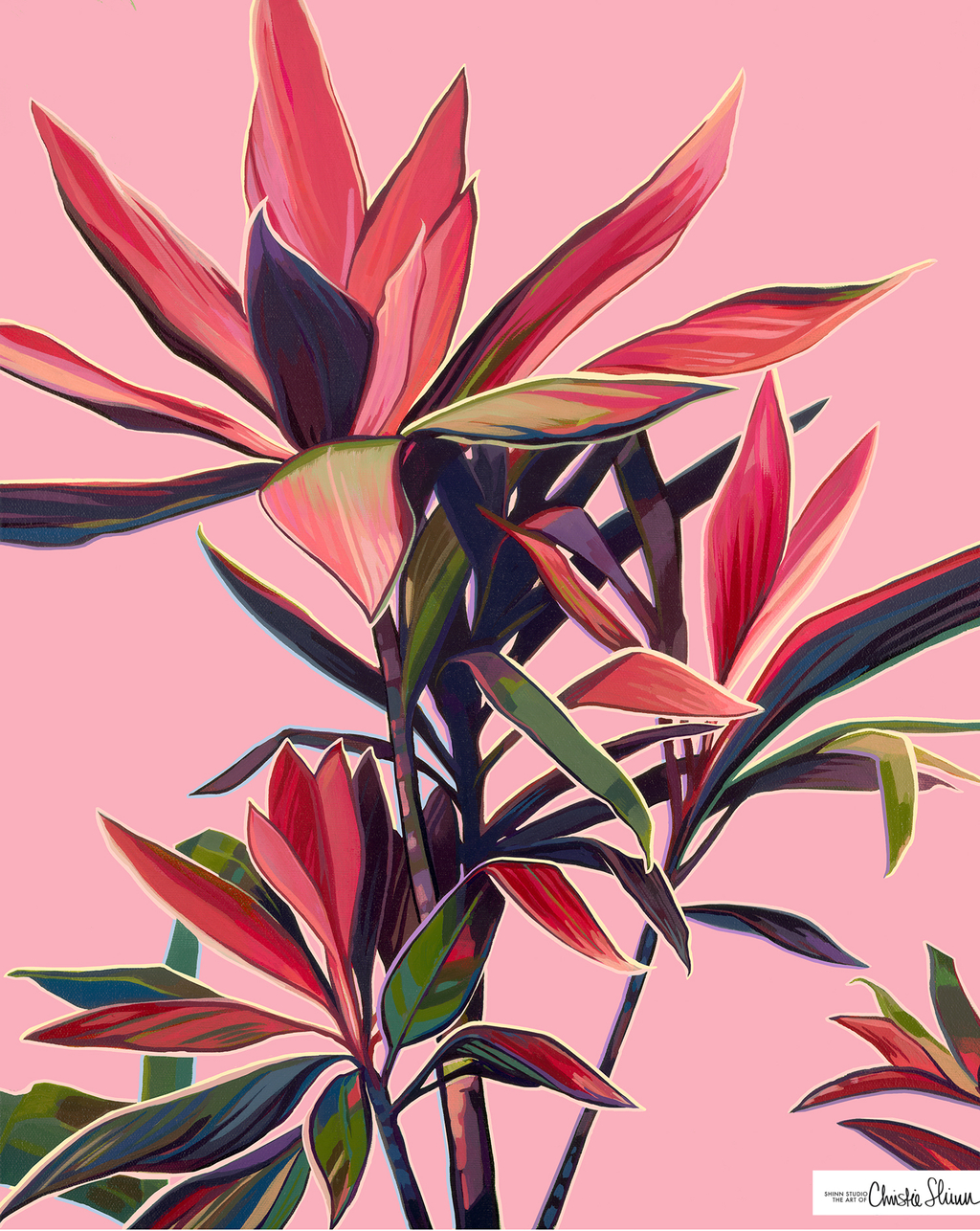 RECENT WORK – Shinn Studio