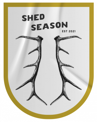 Match Set Elk Sticker – SHED SEASON